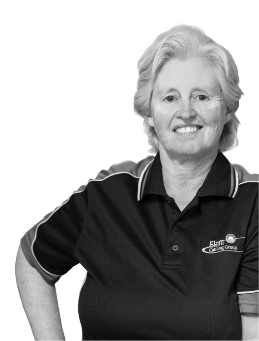 The Company and Founders | Elam Cabling Group